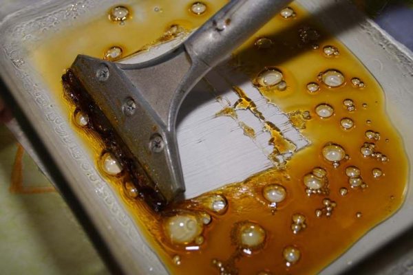 How to Vacuum Purge BHO | The Best Vacuum Sealer for Weed