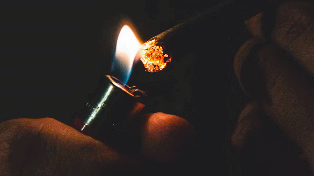 How To Roll a Blunt: 4 Easy Steps | A Beginners Guide