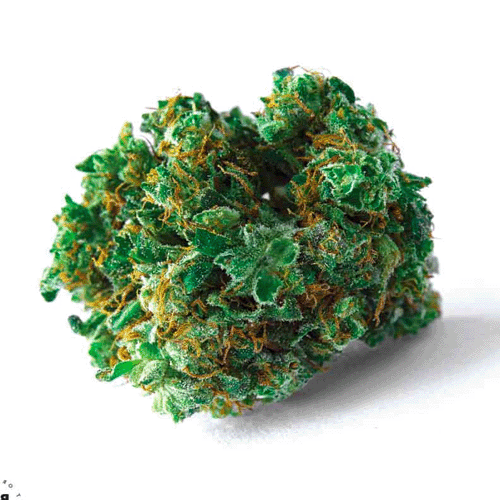 Weed Strains: Green Skunk - Cannabis Tutorials